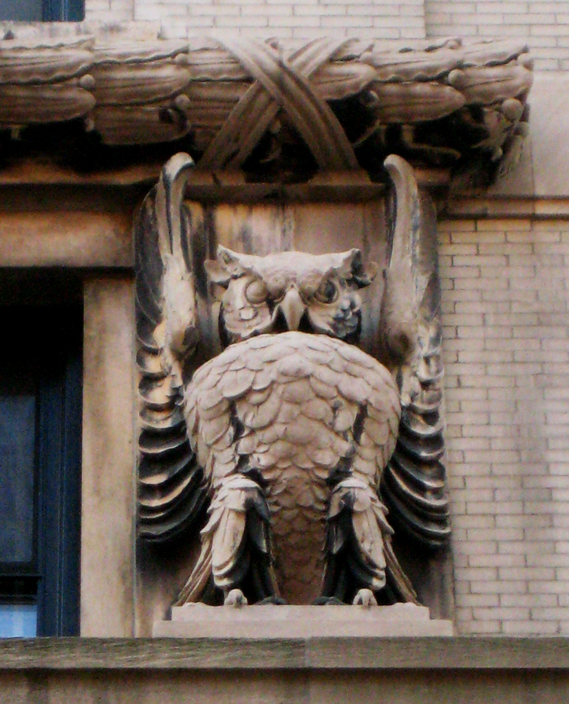 6. Secrets of the Owl: Part 2 – Owls, Owls Everywhere | THE NARROW GATE